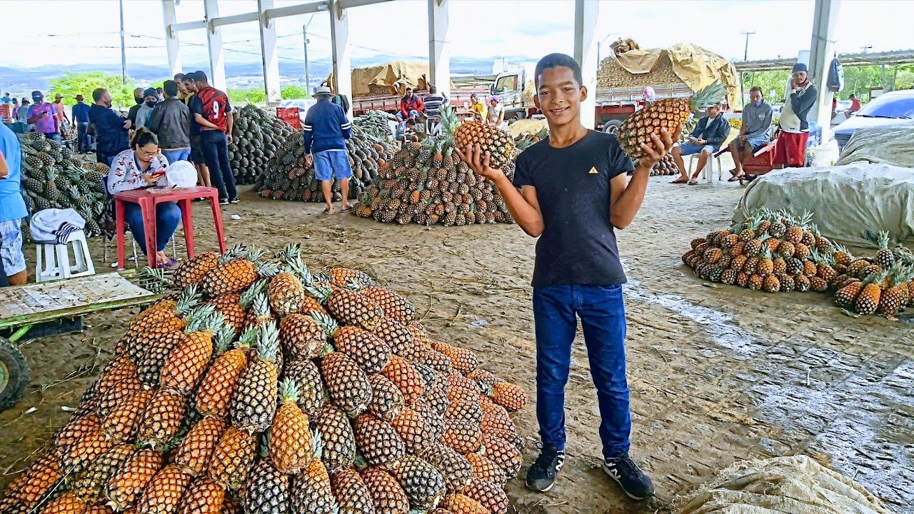 CENTRAL DE ABASTECIMENTO DE CARUARU CEACA VEJA OS PREÇOS DAS MERCADORIA ...