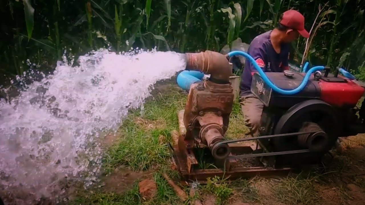 Pompa Air NS 100 & Mesin Diesel Dongfeng 12 Hp Diesel Air Irigasi Sawah ...