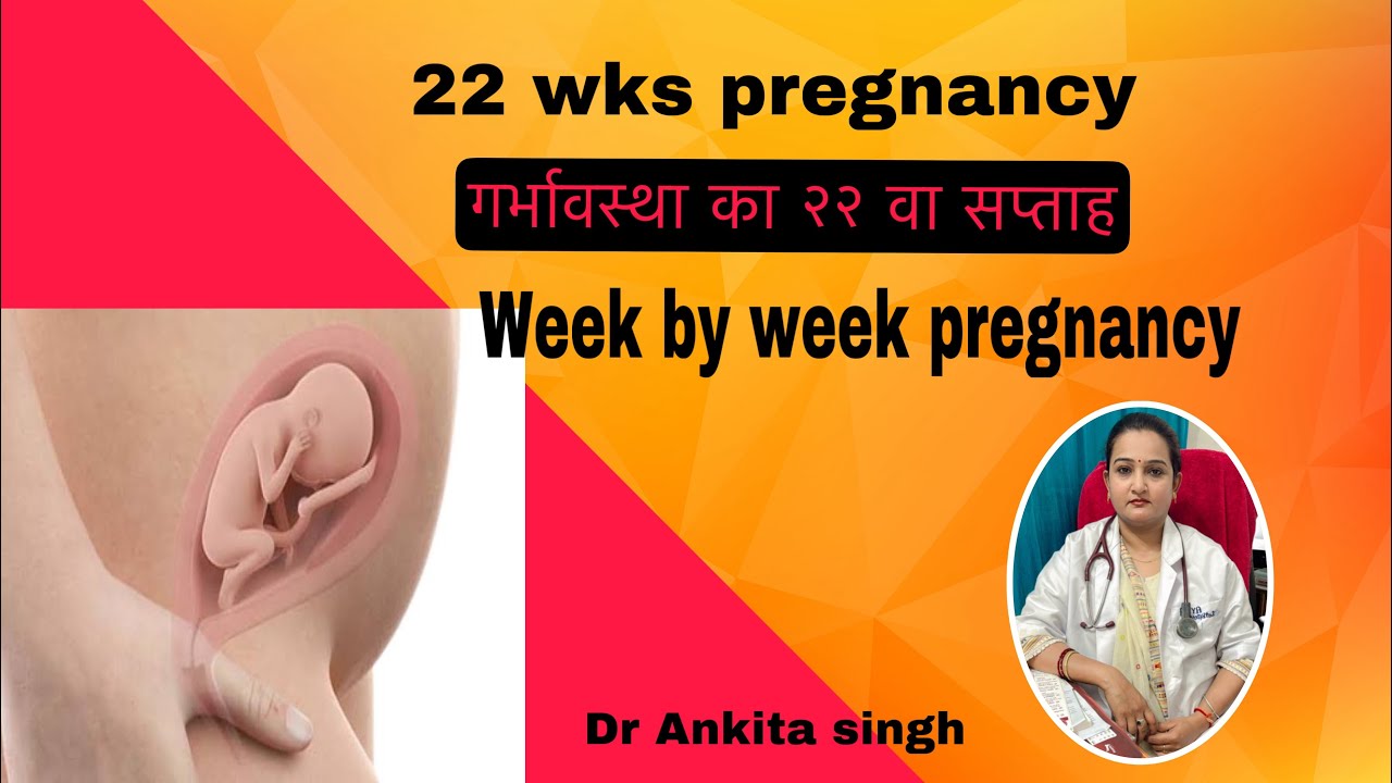 22 Weeks Pregnancy – Baby Growth, Symptoms & Care Tips | 5th Month ...