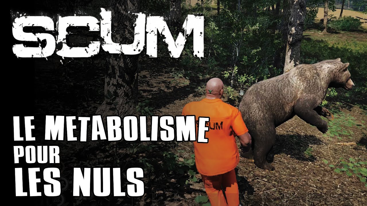 SCUM - Tuto # 2 : Le métabolisme pour les Nuls - YouTube