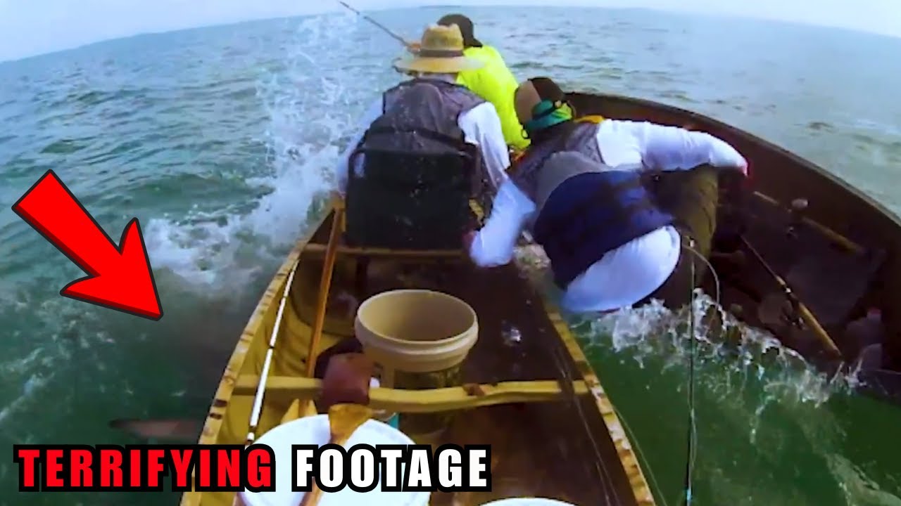 32 Disturbing Fishing Encounters Caught on Camera That’ll Give You ...