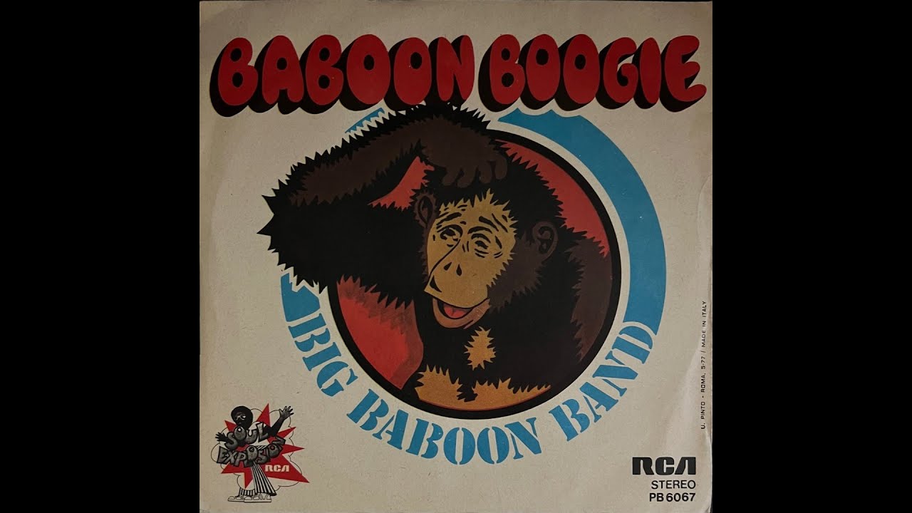 Big Baboon Band - Baboon Boogie (Part 2) (1977 Vinyl) - YouTube