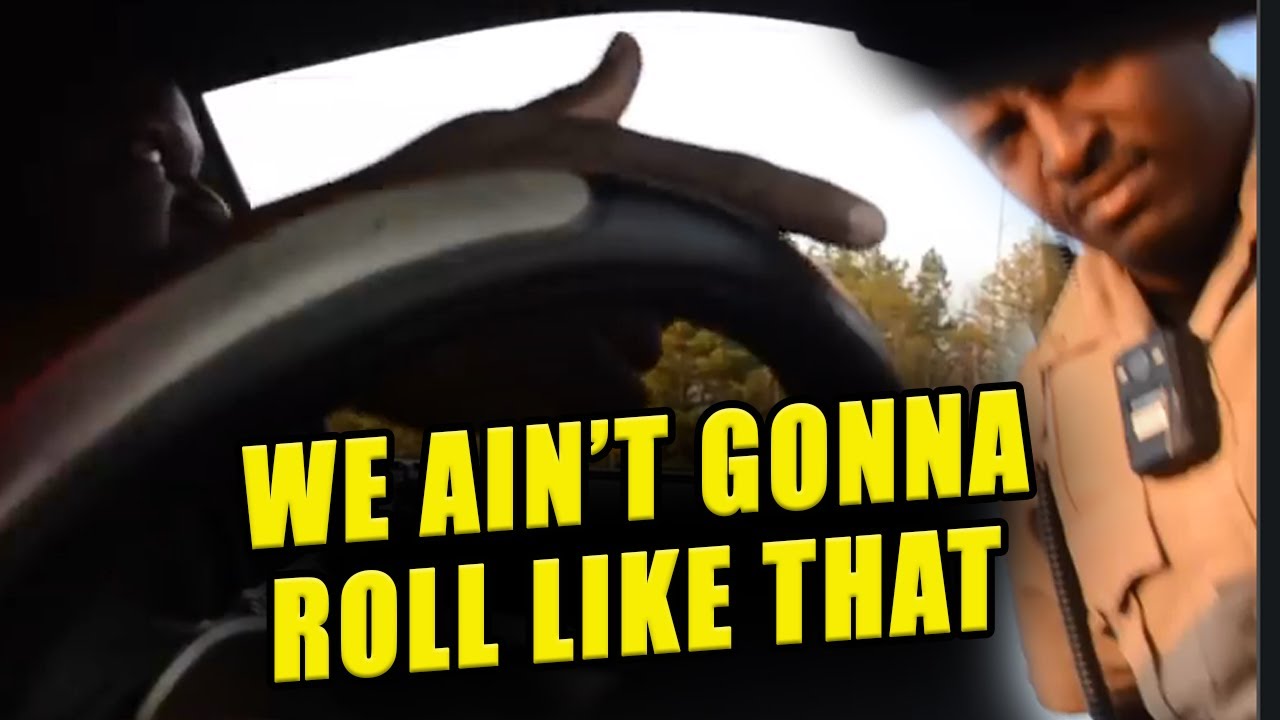 Man Takes Epic Control of Cops on TWO SEPARATE Traffic Stops - YouTube