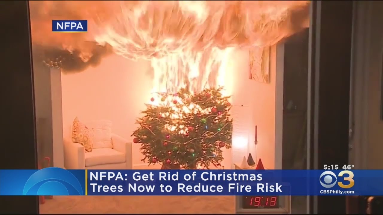 Leaving Christmas Tree Up Too Long Can Be Dangerous For Home - YouTube