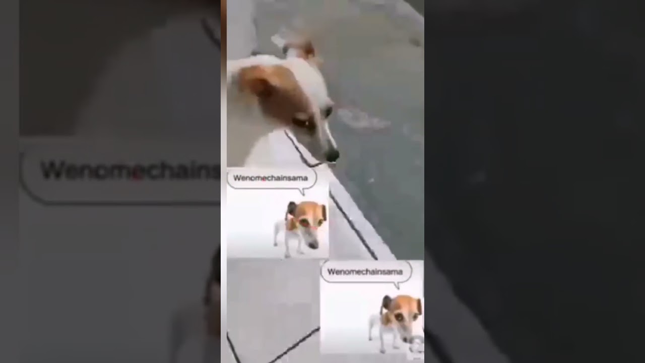 wenamechainsama - YouTube