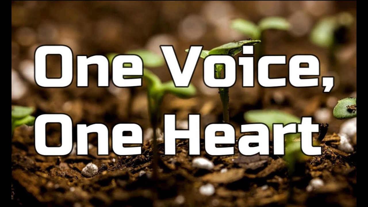 One Voice, One Heart (90's-inspired pop anthem with an uplifting and ...