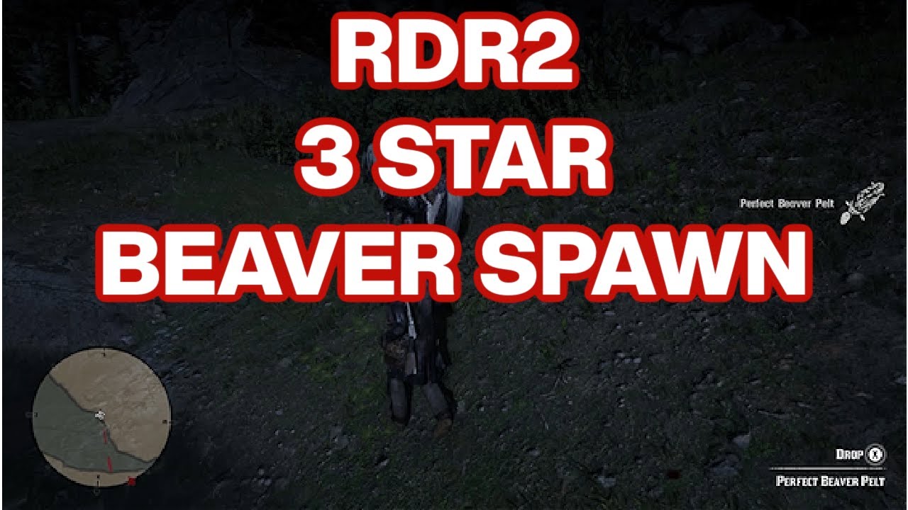 RDR2 My Favorite Beaver Spawn - YouTube