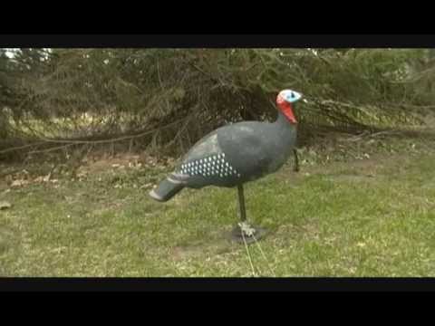 Jake Decoy on a String, Non Motorized Moving Turkey Decoy - YouTube