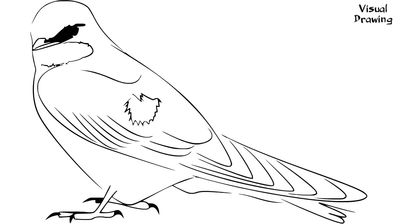 Swallow Bird Drawing Easy, How To Draw A Swallow Flying For Beginners ...