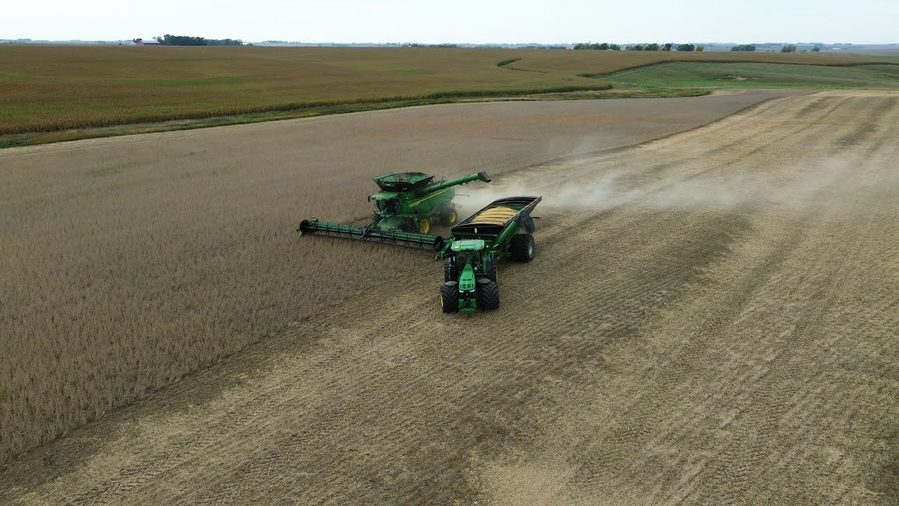 Northwest Iowa Bean Harvest! - YouTube