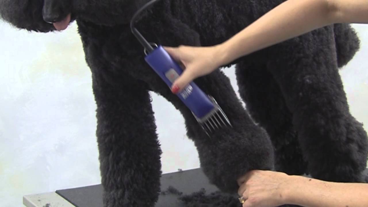 Pro Clip UltraEdge - YouTube