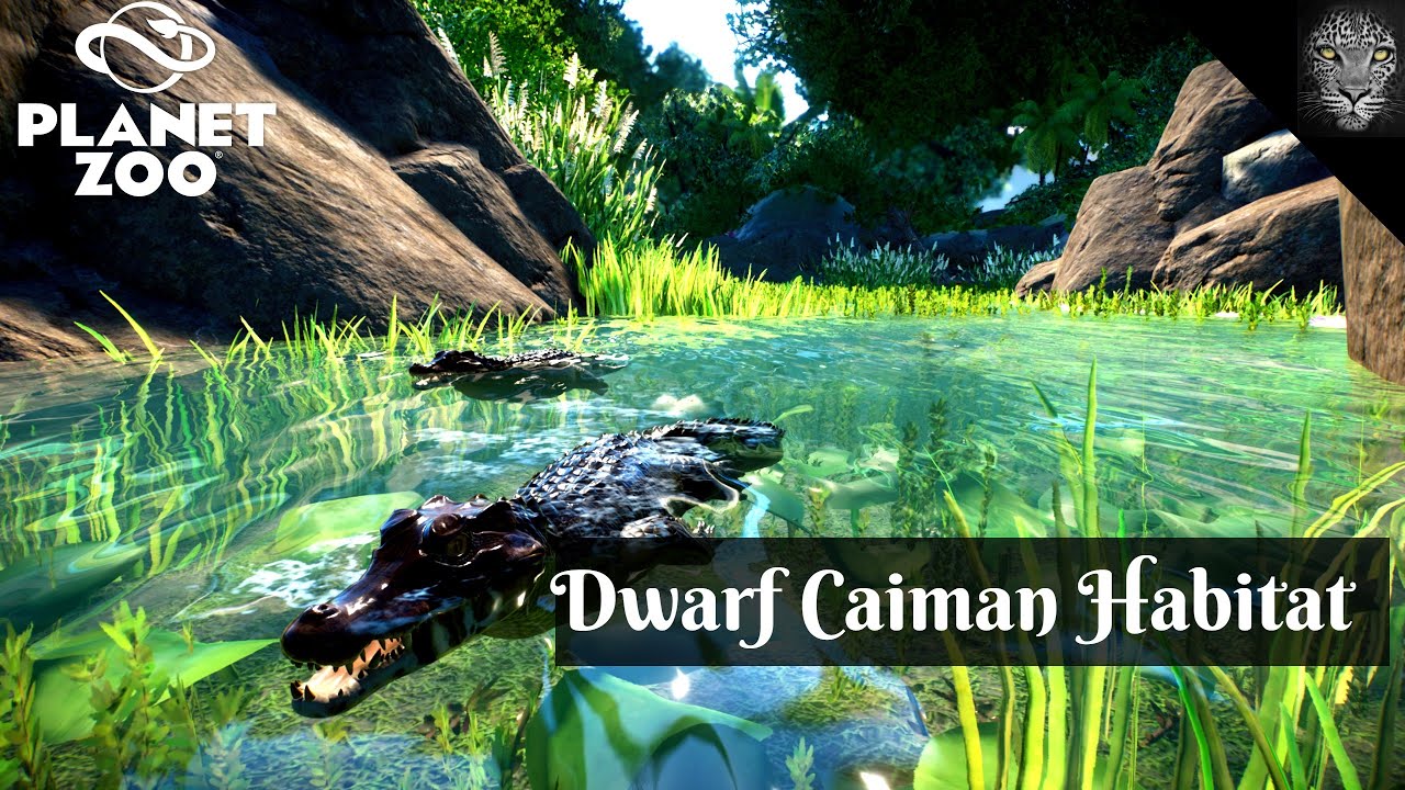 Dwarf Caiman Habitat - Aquatic Pack DLC - Planet Zoo - YouTube
