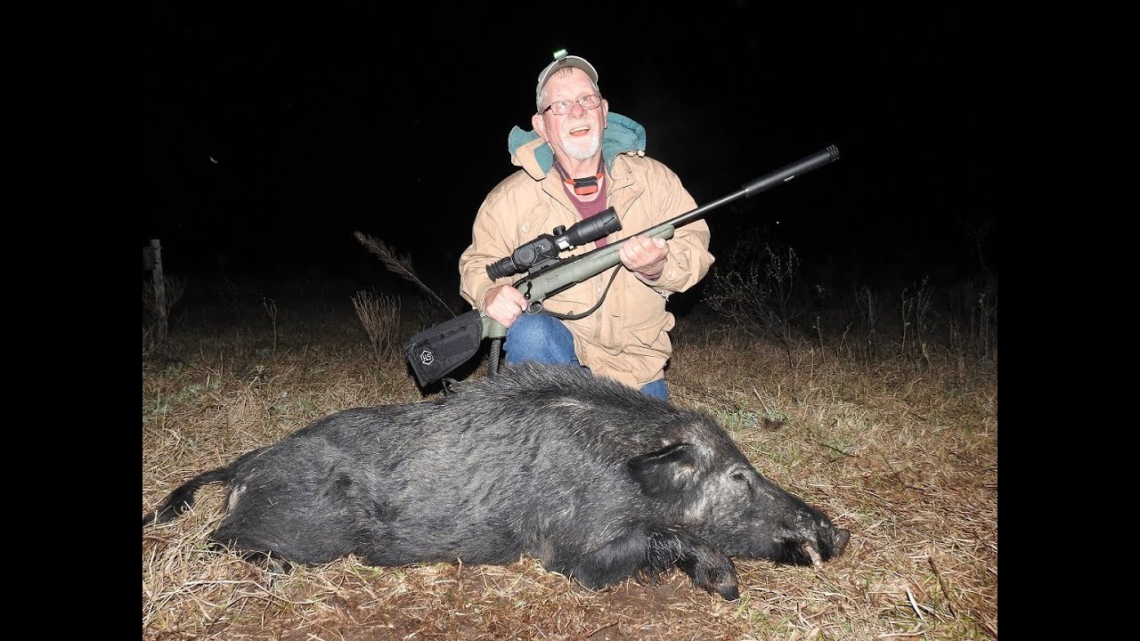 Hunting Hercules Hog - YouTube