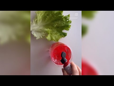 Su Kirliliği Deney Videosu