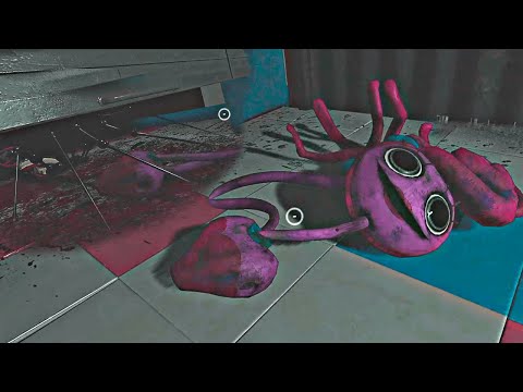 Who took Mommy Long Legs ? | Poppy playtime chapter 2 free camera | Hidden Camera | Funny moment
