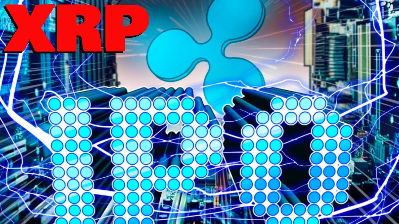 XRP Price WILL BENEFIT From IPO Says CEO/Schwartz Speaks on CUSTODY ...