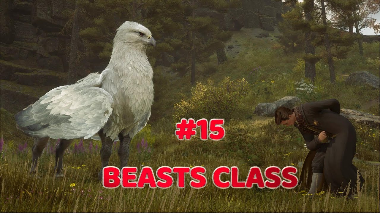 Hogwarts Legacy - Part 15 - BEAST CLASS - YouTube