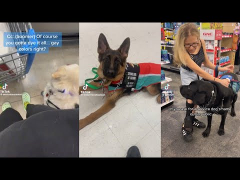 service dog tiktok compilation #1