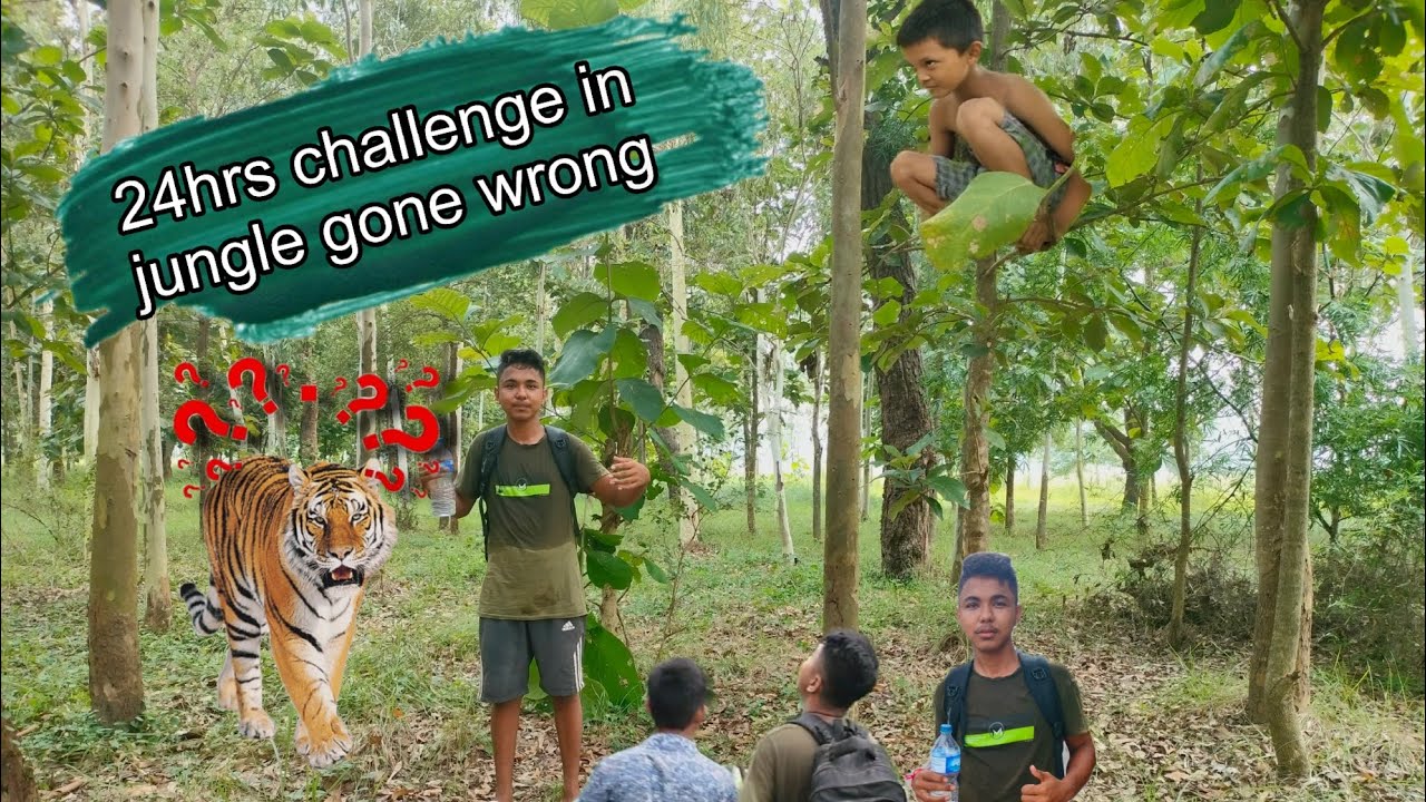 stay 24 hours In jungle challenge gone wrong🤯(face to face with tiger ...