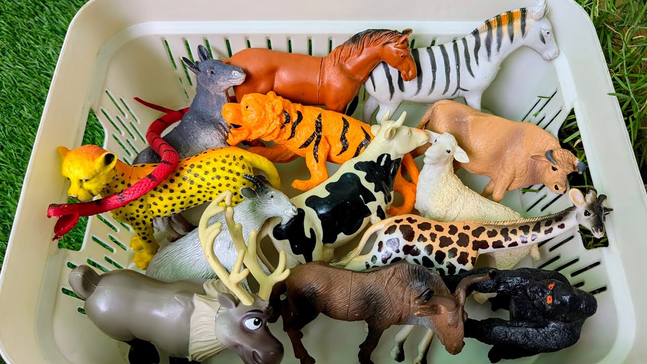 Kids Learn Farm & Zoo Animals | Learn Names with Real Animal Videos ...