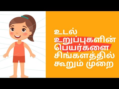 Parts of Body in Sinhala - YouTube