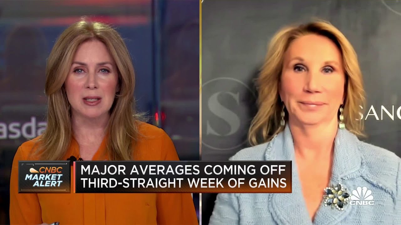 The equity market can hit new record all-time highs next year ...