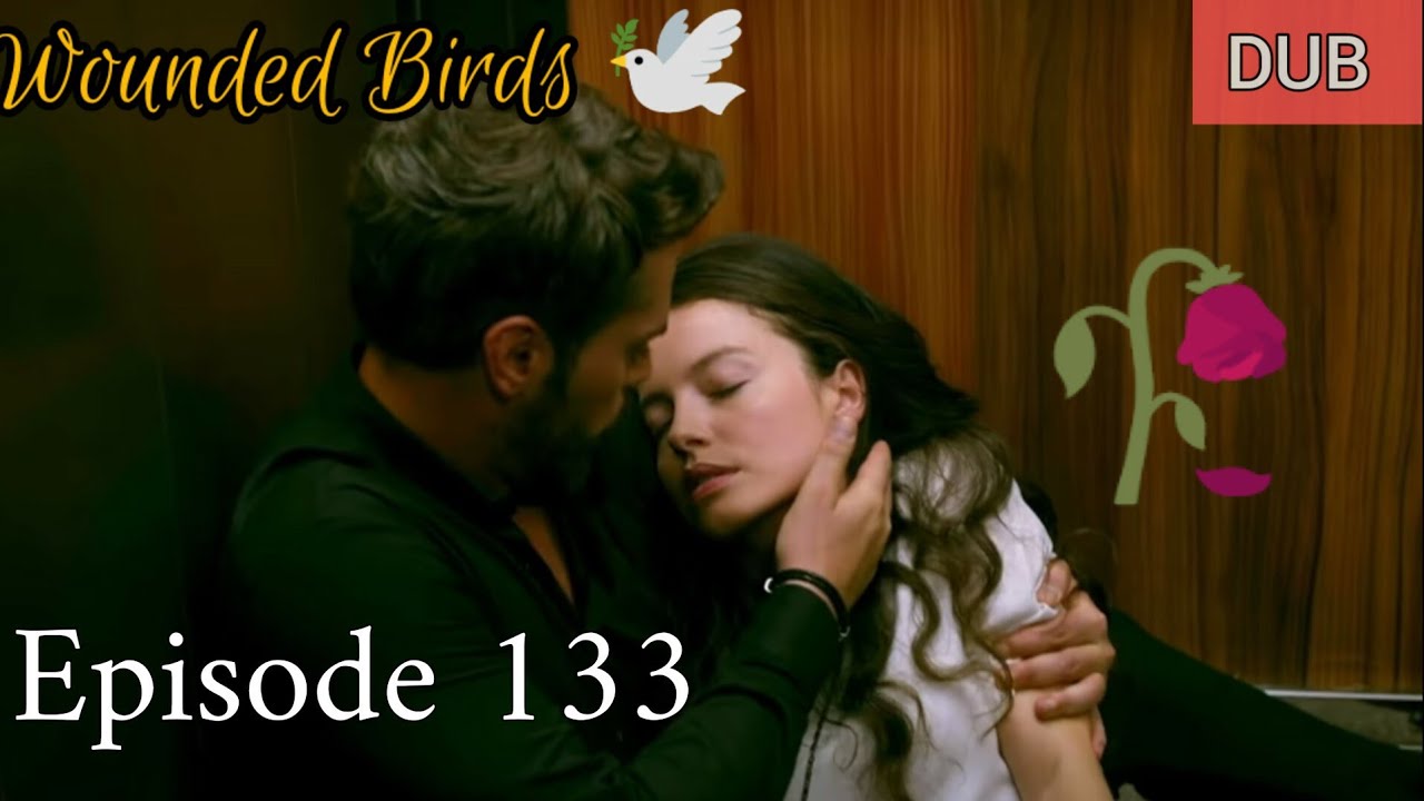 Wounded Birds episode 133 Hindi/Urdu Dubbed full explained Yaralikuslar ...