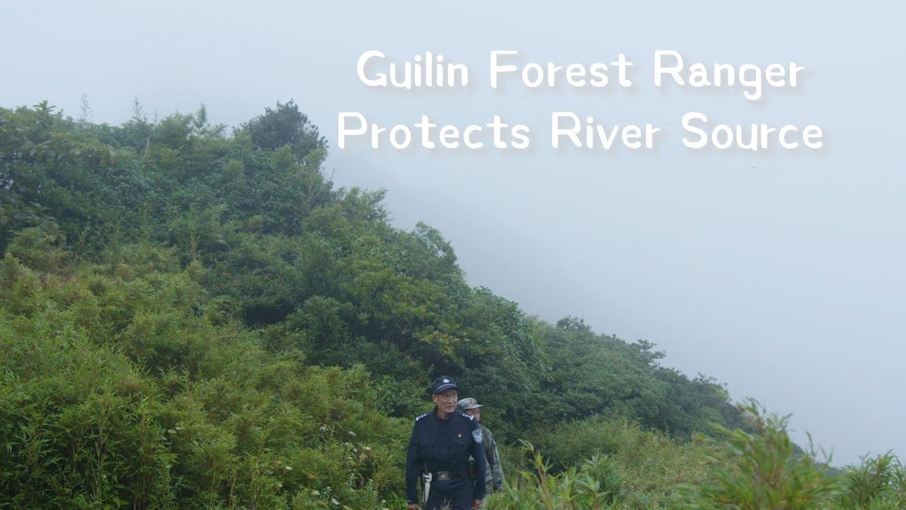 Guilin Forest Ranger Protects River Source - YouTube