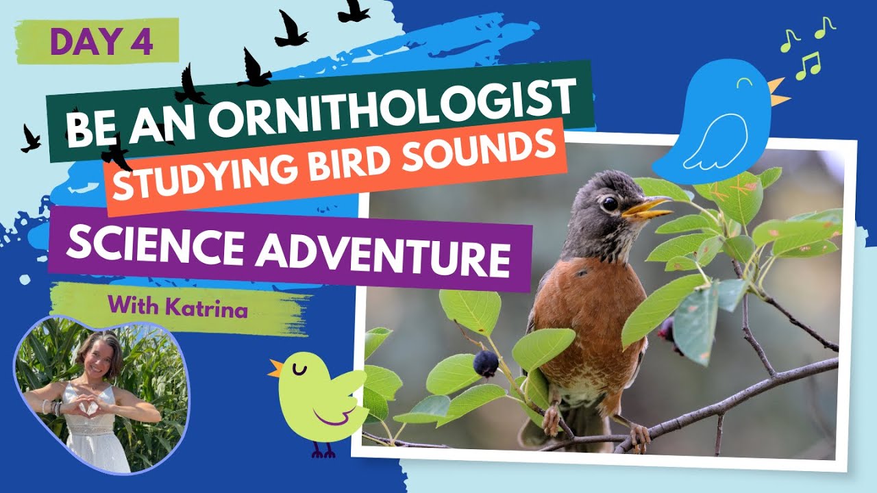 Day 4 of 7: Be an Ornithologist - April Kids Activities Challenge: Soar ...