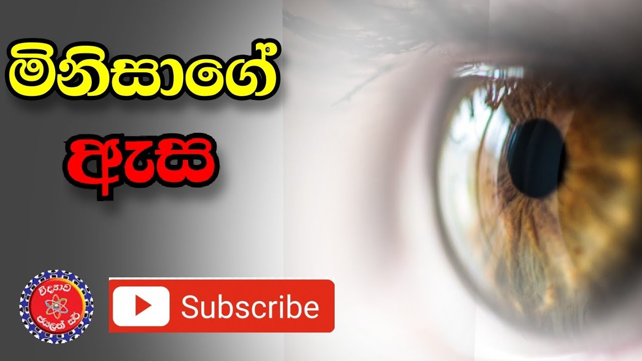 මිනිසාගේ ඇස.The human eye - YouTube