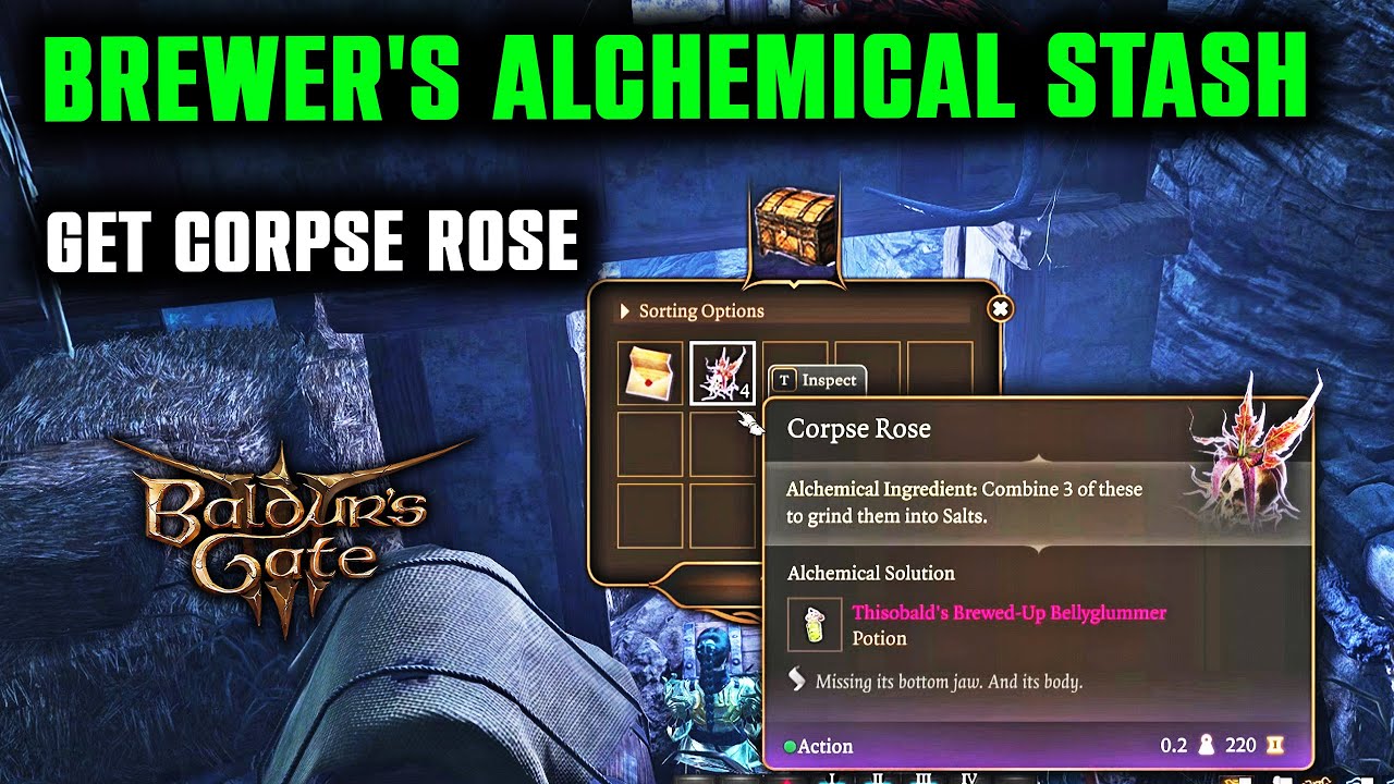 Brewer's Alchemical Stash Location & Guide in Baldur's Gate 3 | Corpse ...