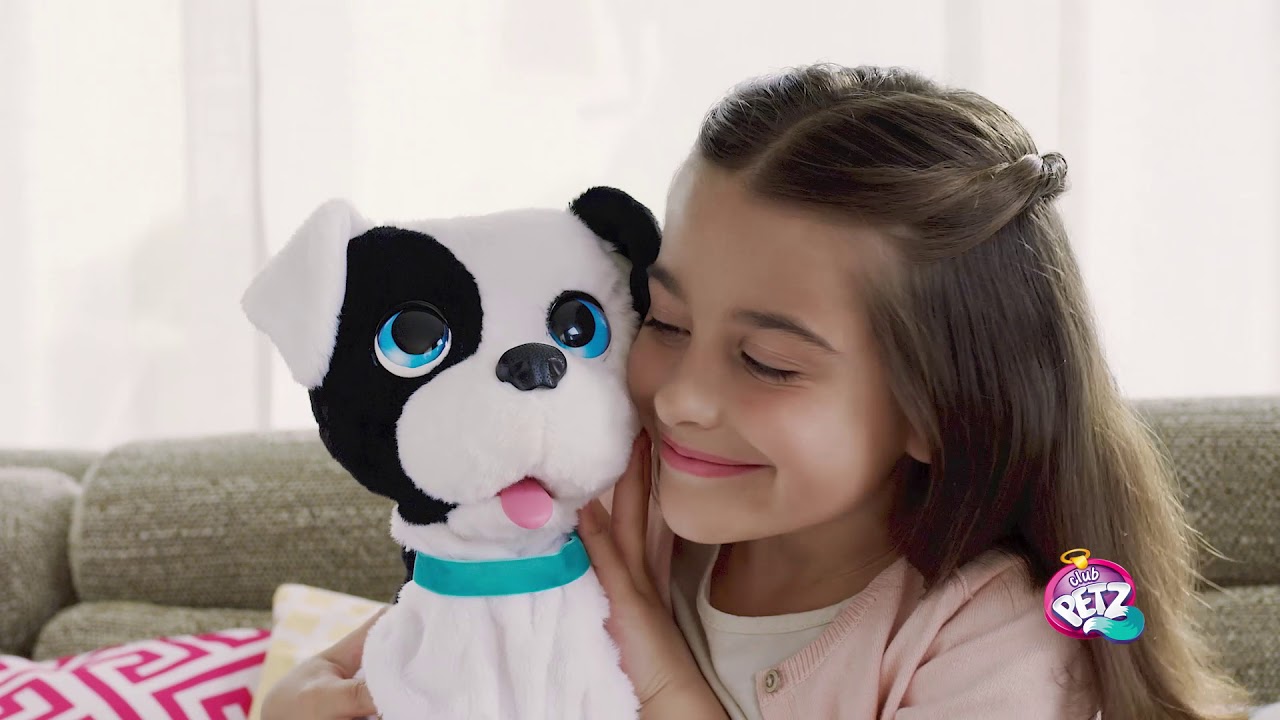 Club Petz Bowie - YouTube