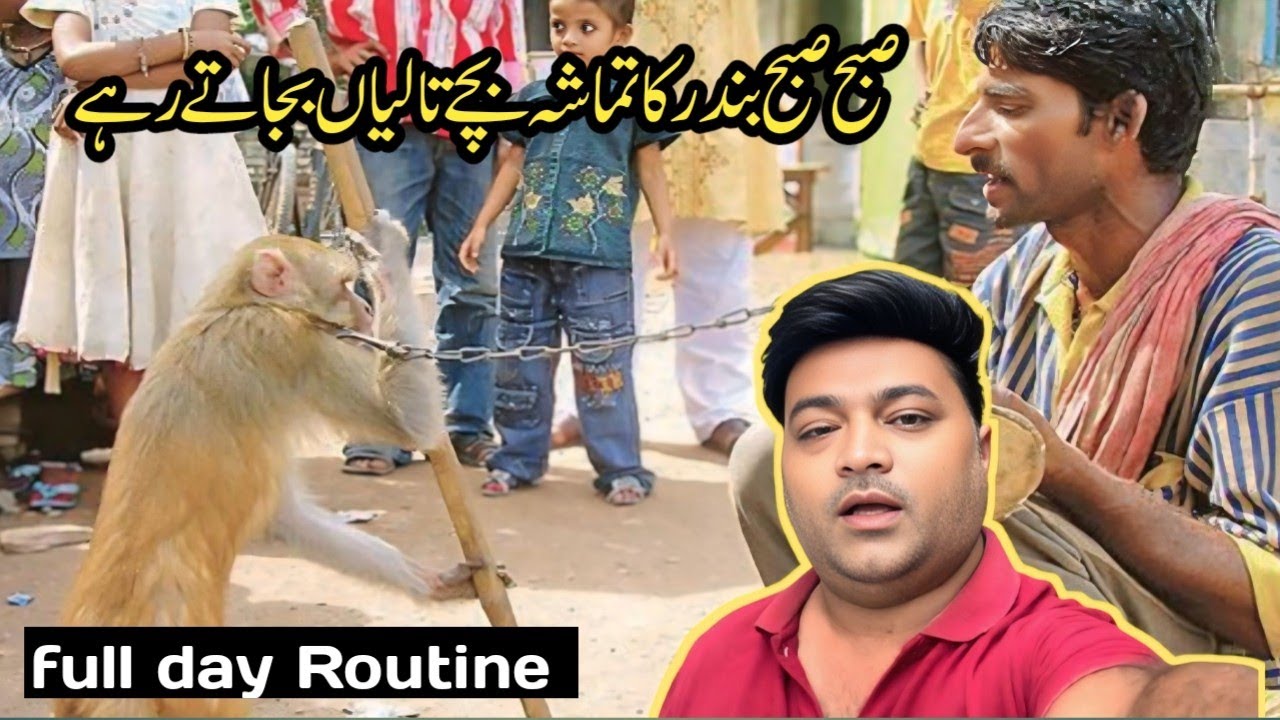 early morning monkey performance in my street - YouTube