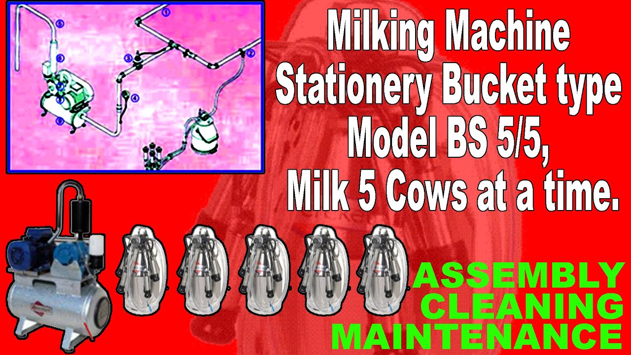 Bucket Milking Machine | Milks 5 Cows at Once | Assembly, Maintenance ...