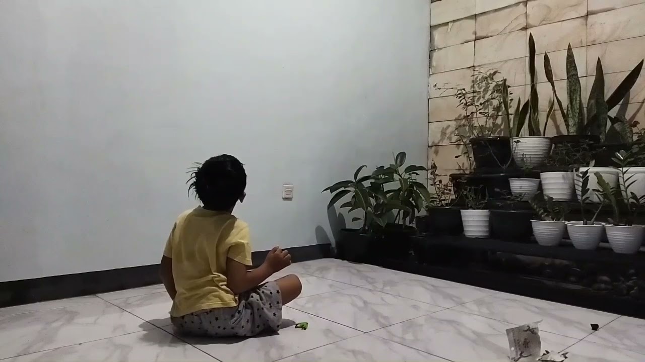 Unboxing Spider Man Insect Pack - YouTube