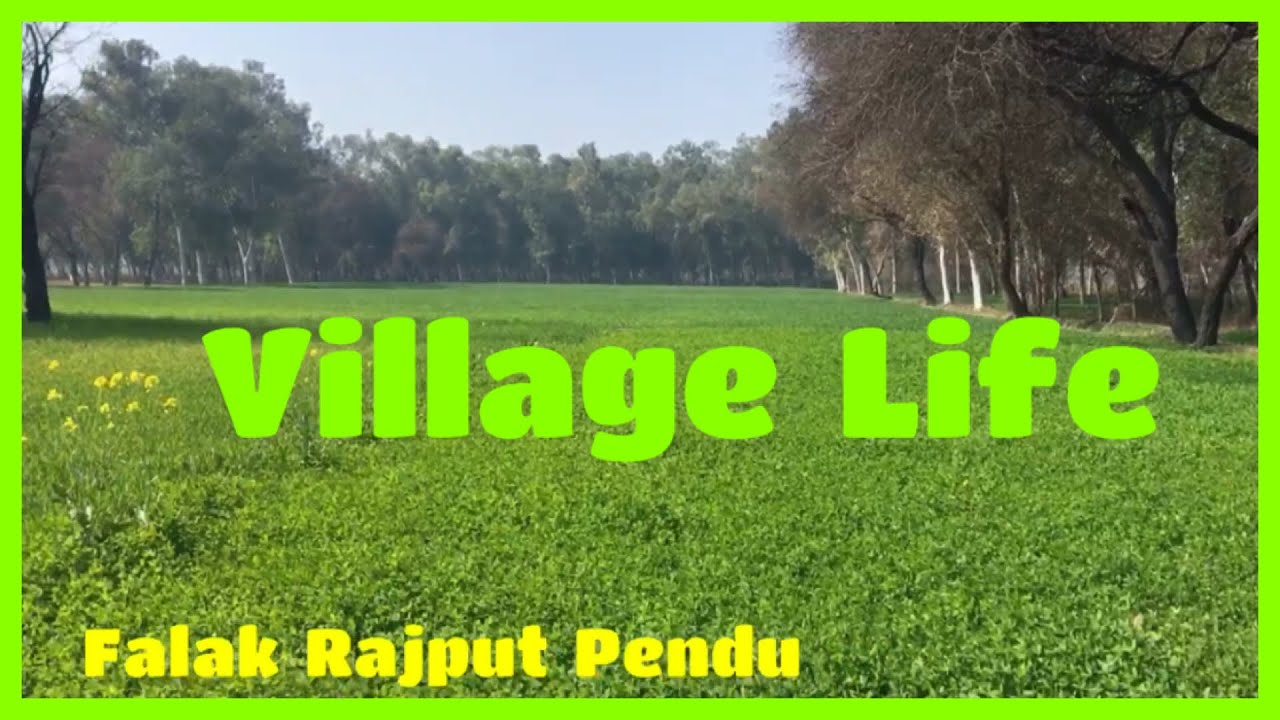 Complete Village view || Real Village life || world's most beautiful ...