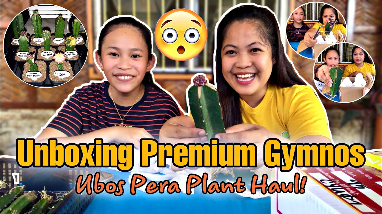 UBOS PERA PLANT HAUL! (Premium Gymnos) - YouTube