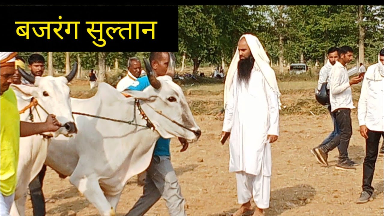 6 नंबर फाइनल दौड़ से पहले अजीम भाई का जोड़ा pat pratiyogita in ...