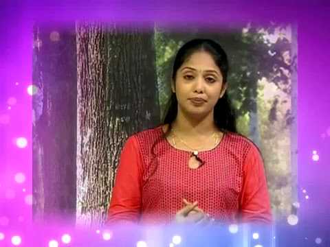 Podhigai TV Program Promo - YouTube