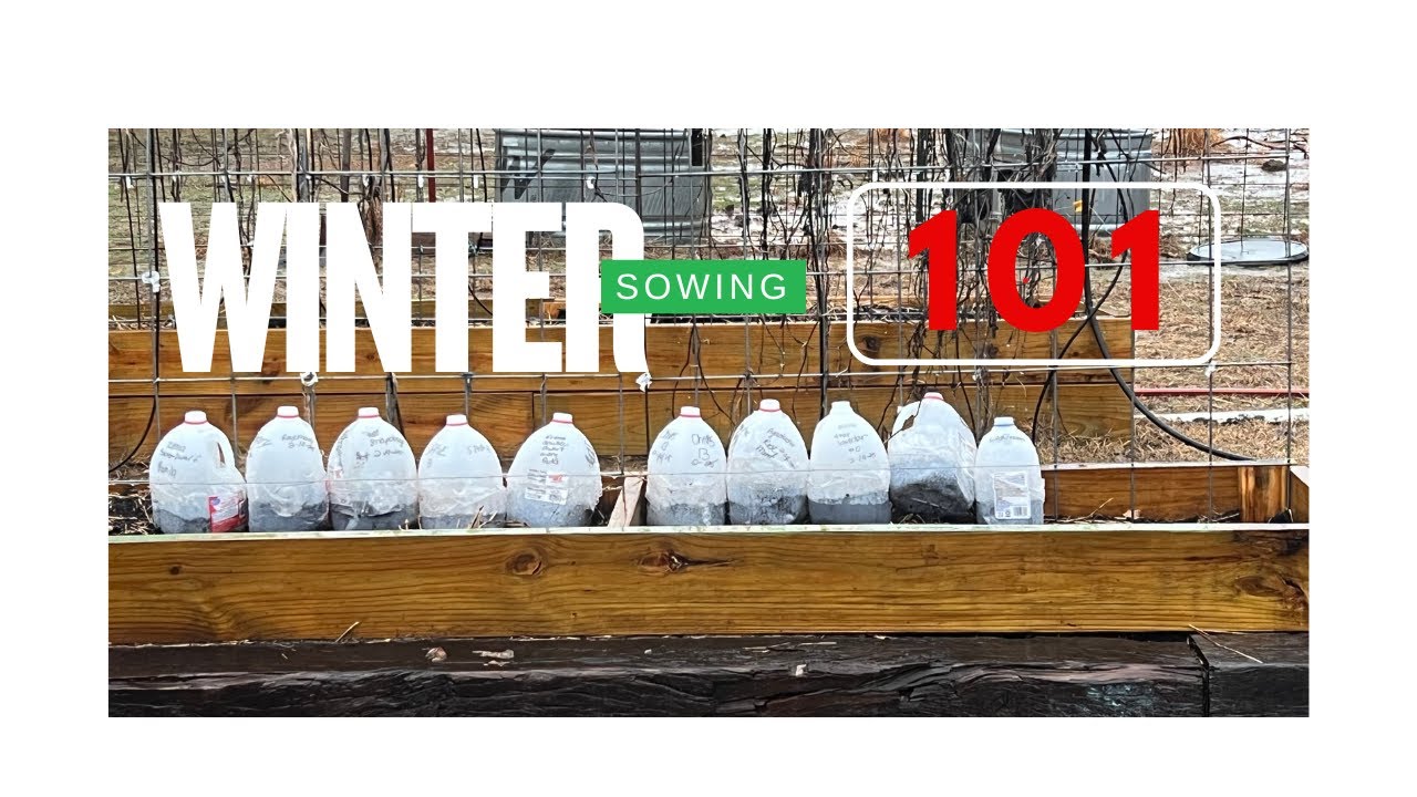 winter sowing 101/ beginner gardening / @RockinGFarmandGarden - YouTube