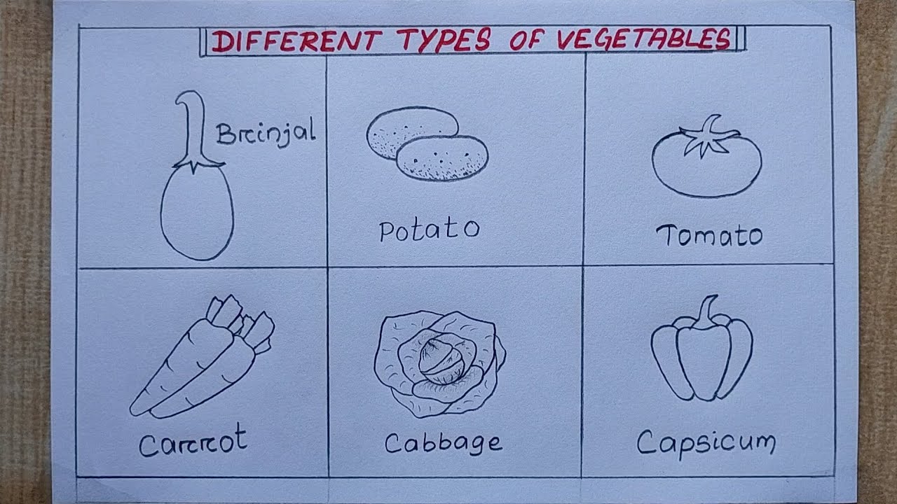How to draw different types of Vegetables drawing| 6 different types of ...
