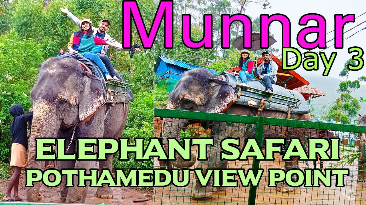 Elephant ride in Munnar!!! - YouTube