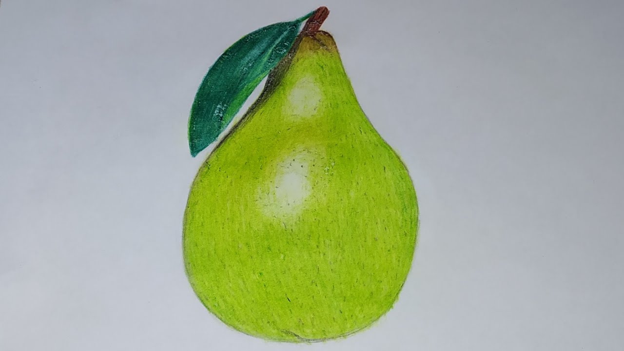Rəsm - Armud Necə Çəkilir - How to Draw Pear - YouTube