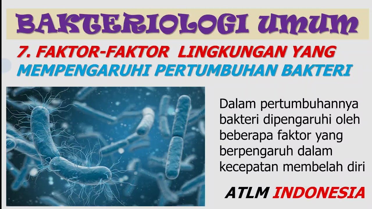 Faktor-Faktor Lingkungan yang mempengaruhi Pertumbuhan Bakteri - YouTube