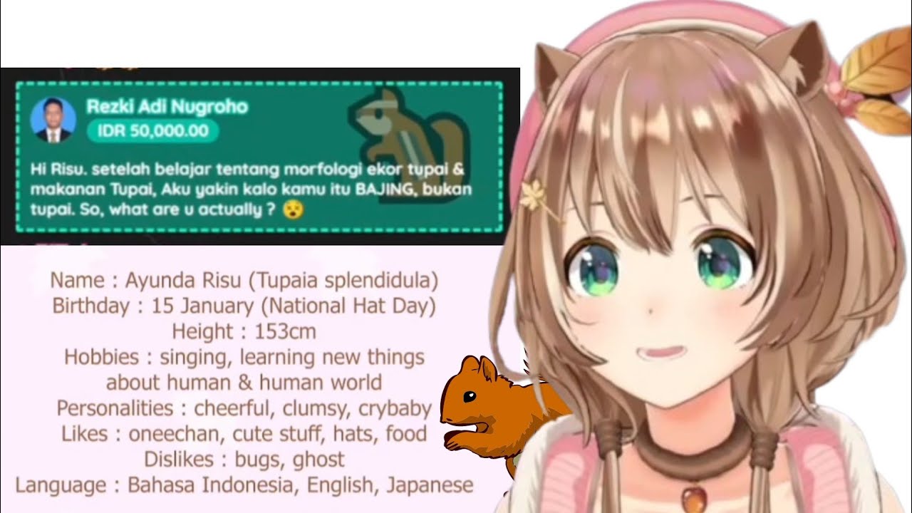 Jadi Risu Itu Sebenarnya Tupai Atau Bajing? | Ayunda Risu Hololive ID - YouTube