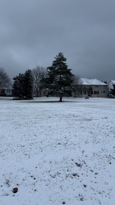 Snow ️day #snow#nature #snowday #goodmorning #fayrouz #tranding #فيروز# ...