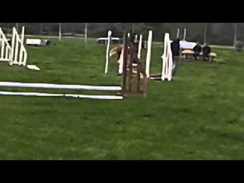 FM Thomastown show 2nd Fy Cradle Stakes