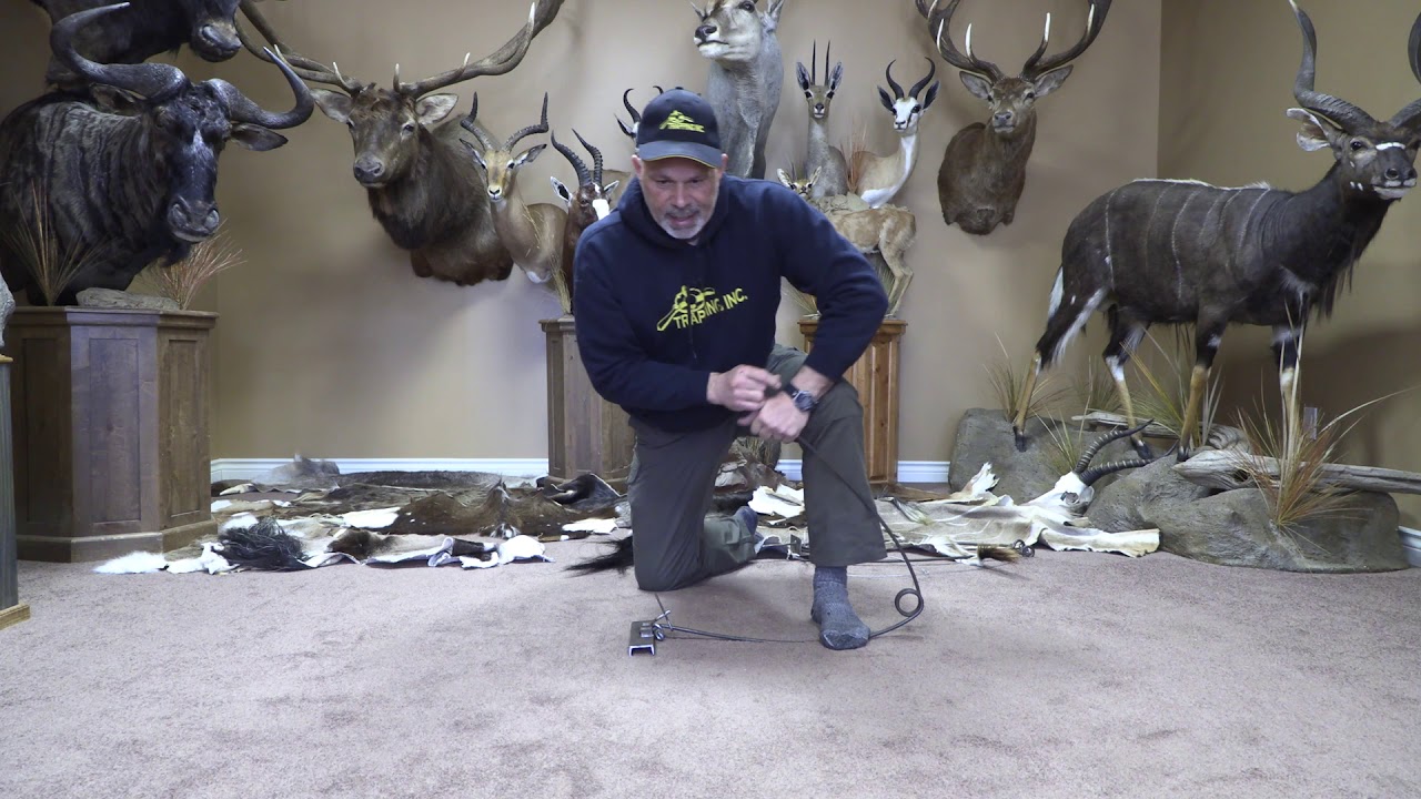 Trapping Inc EP 9 Season 5 Mink - YouTube