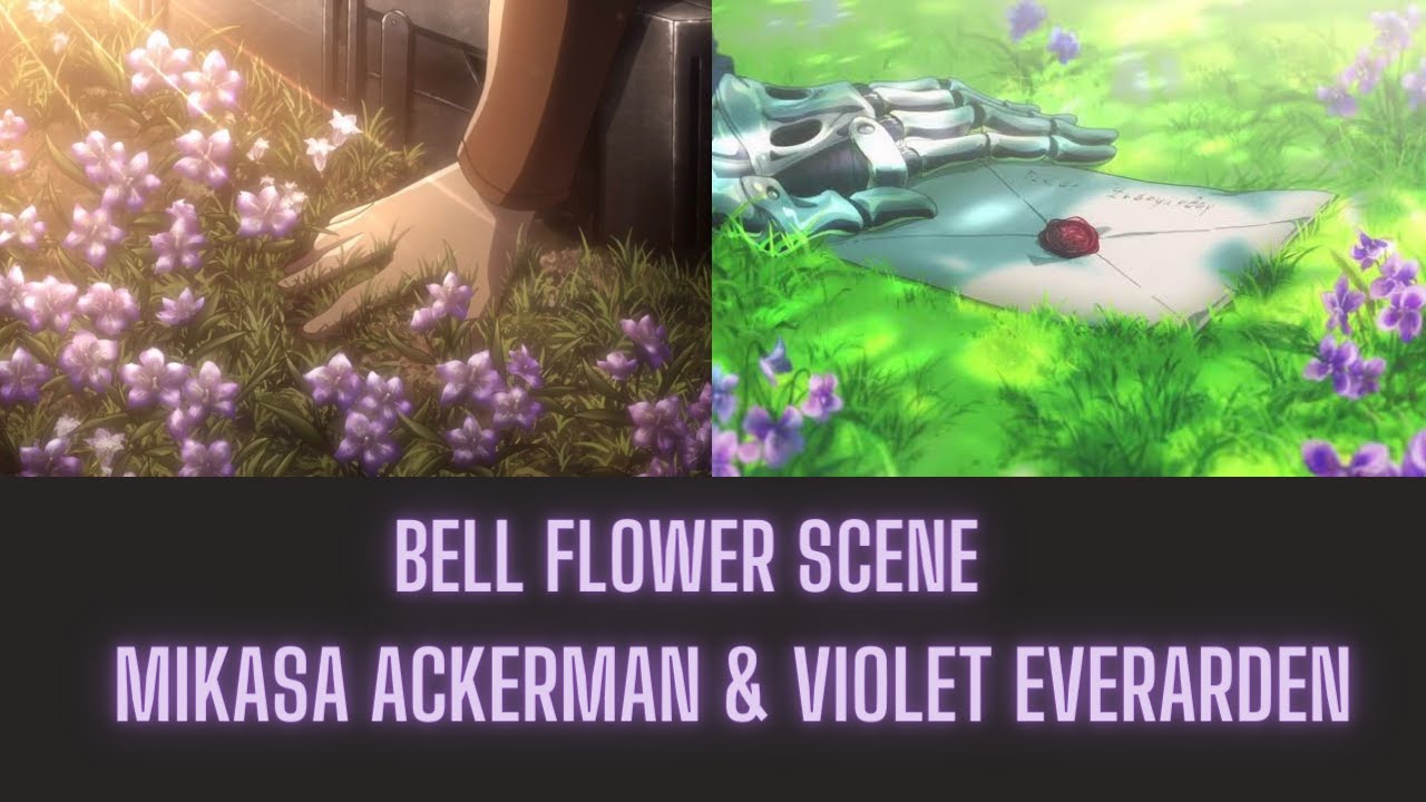 Memory Lane || Mikasa Ackerman and Violet Evergarden -" Bellflower ...