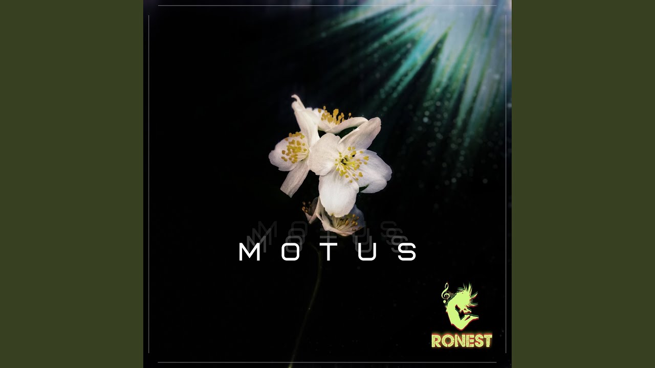 Motus - YouTube